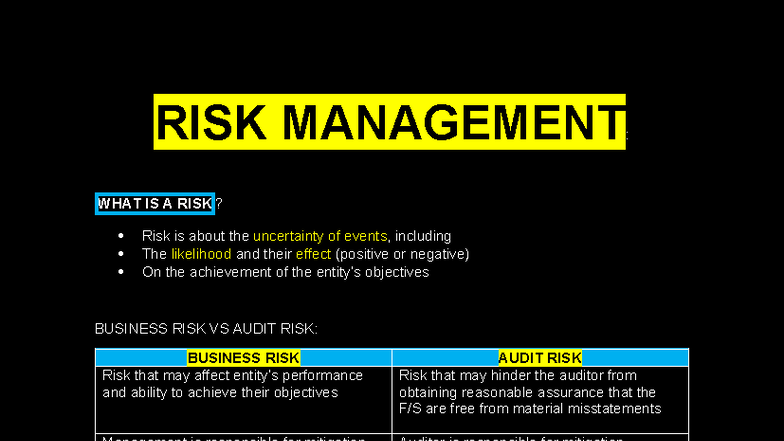 RISK MANAGEMENT 101: Understanding Business and Audit Risks - Studocu