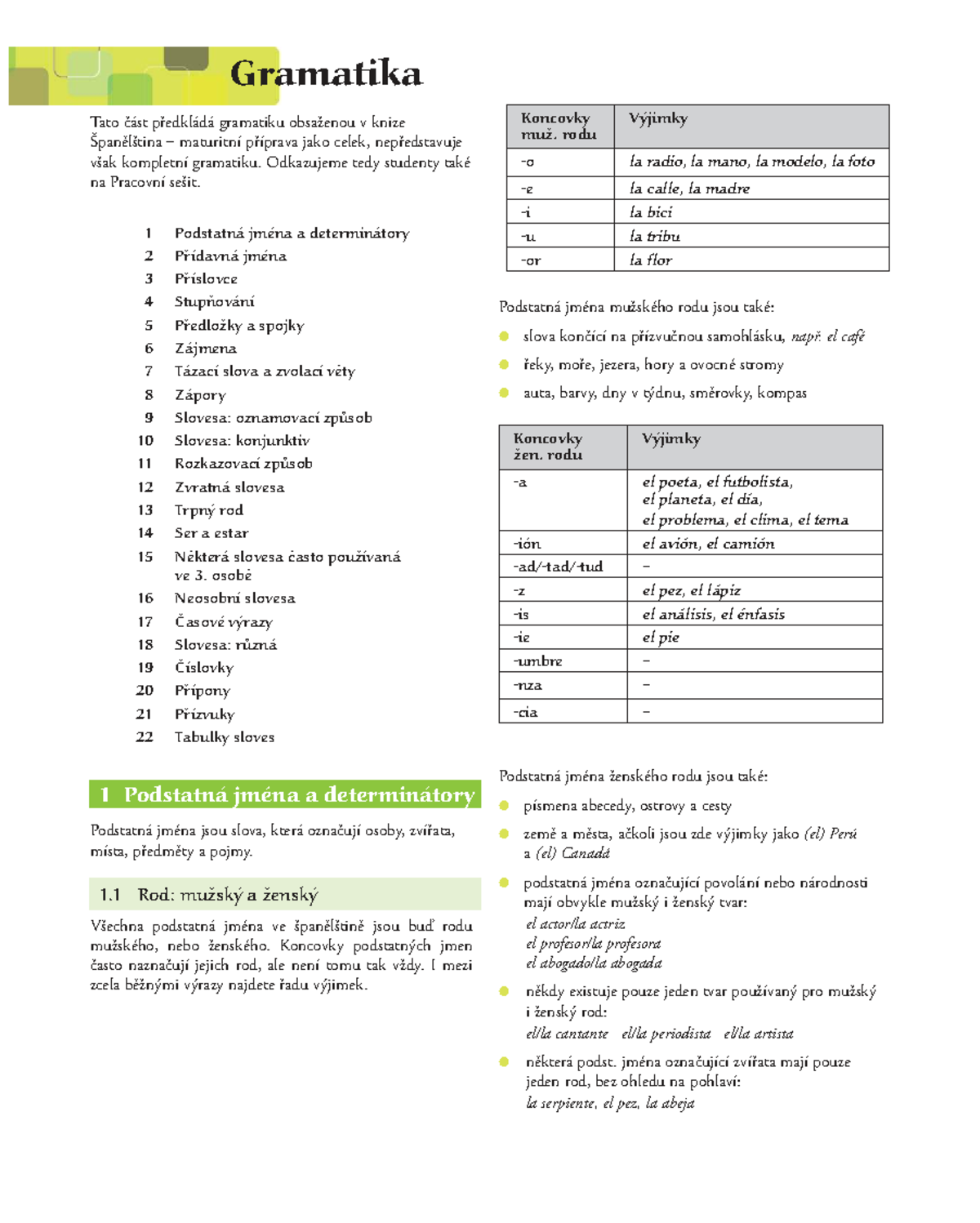 Španělština 1: Maturitní příprava - Gramatika (CZ) - Studeersnel