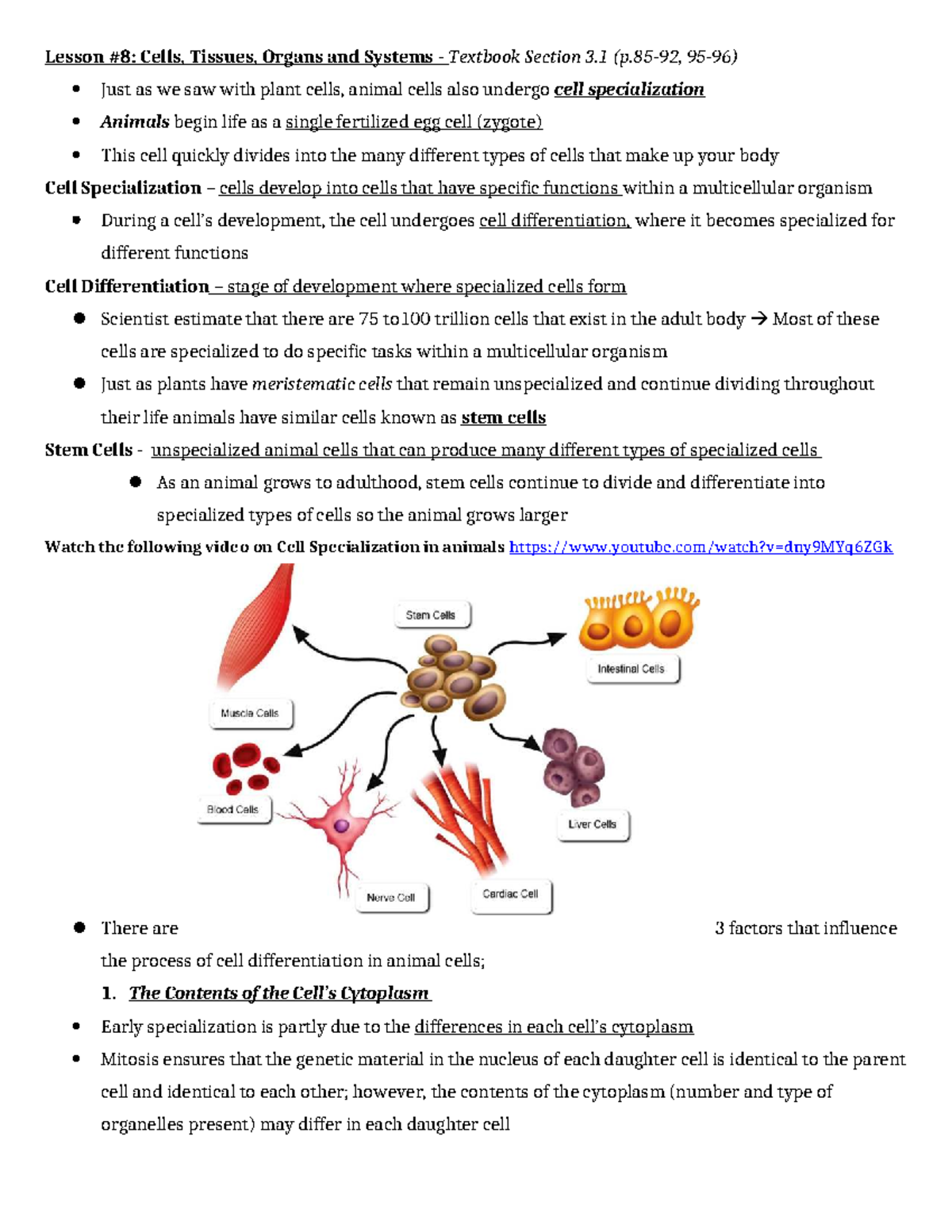 Cells, Tissues, Organs, and Human Organ Systems - Lesson 8 Overview ...