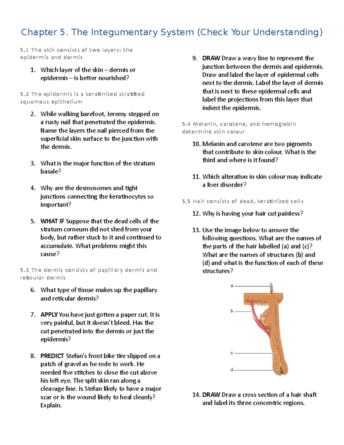 Chapter 23. Chapter Quiz (Pearson) - Chapter 23. The Digestive System ...