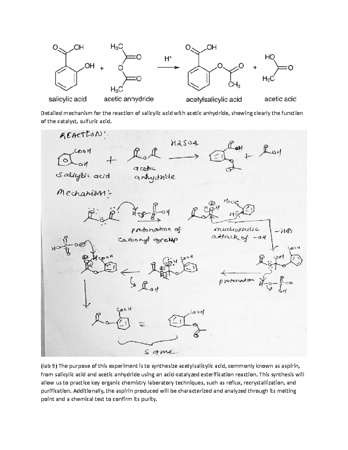 CHE 205 Final Exam Lab: Aspirin Synthesis and Reaction Mechanisms ...