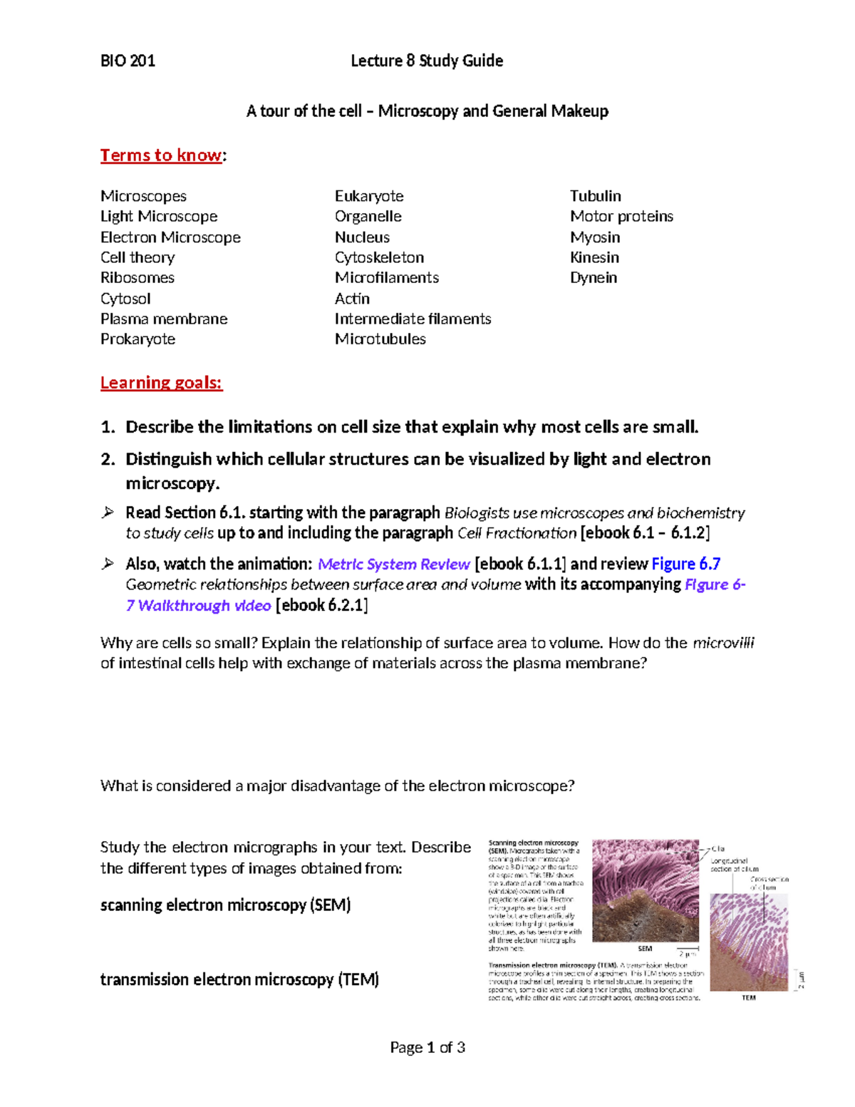 BIO 201 Lecture 8 Study Guide: Understanding Cell Structure & Function ...