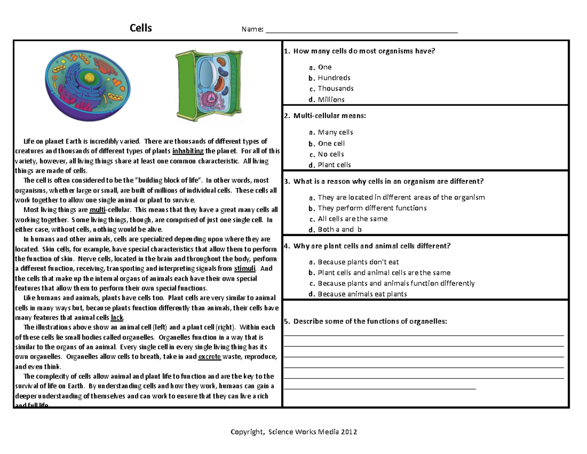 Cells Science Reading Comprehension: Understanding Organelles and ...