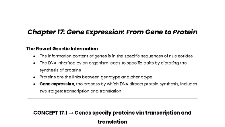 Chapter 17: Gene Expression - From Gene to Protein (Final Exam Notes ...
