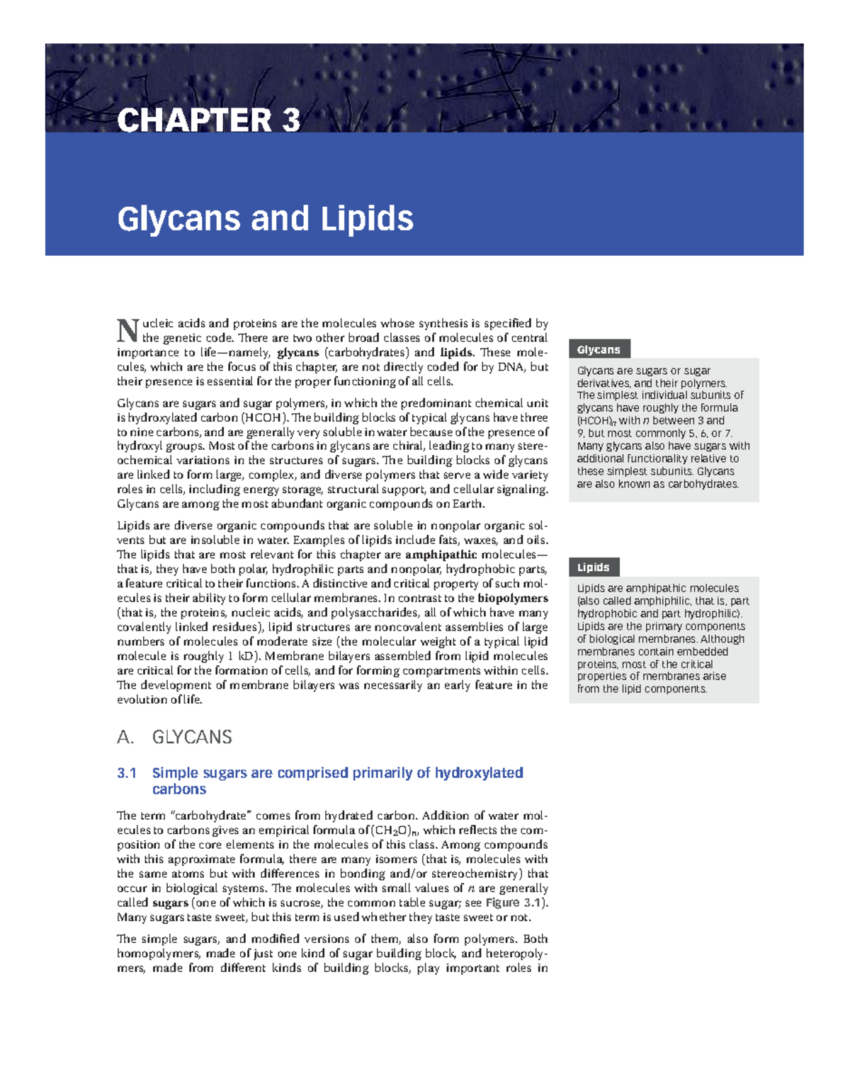 CHAPTER 3: Glycans and Lipids Overview and Key Concepts - Studocu