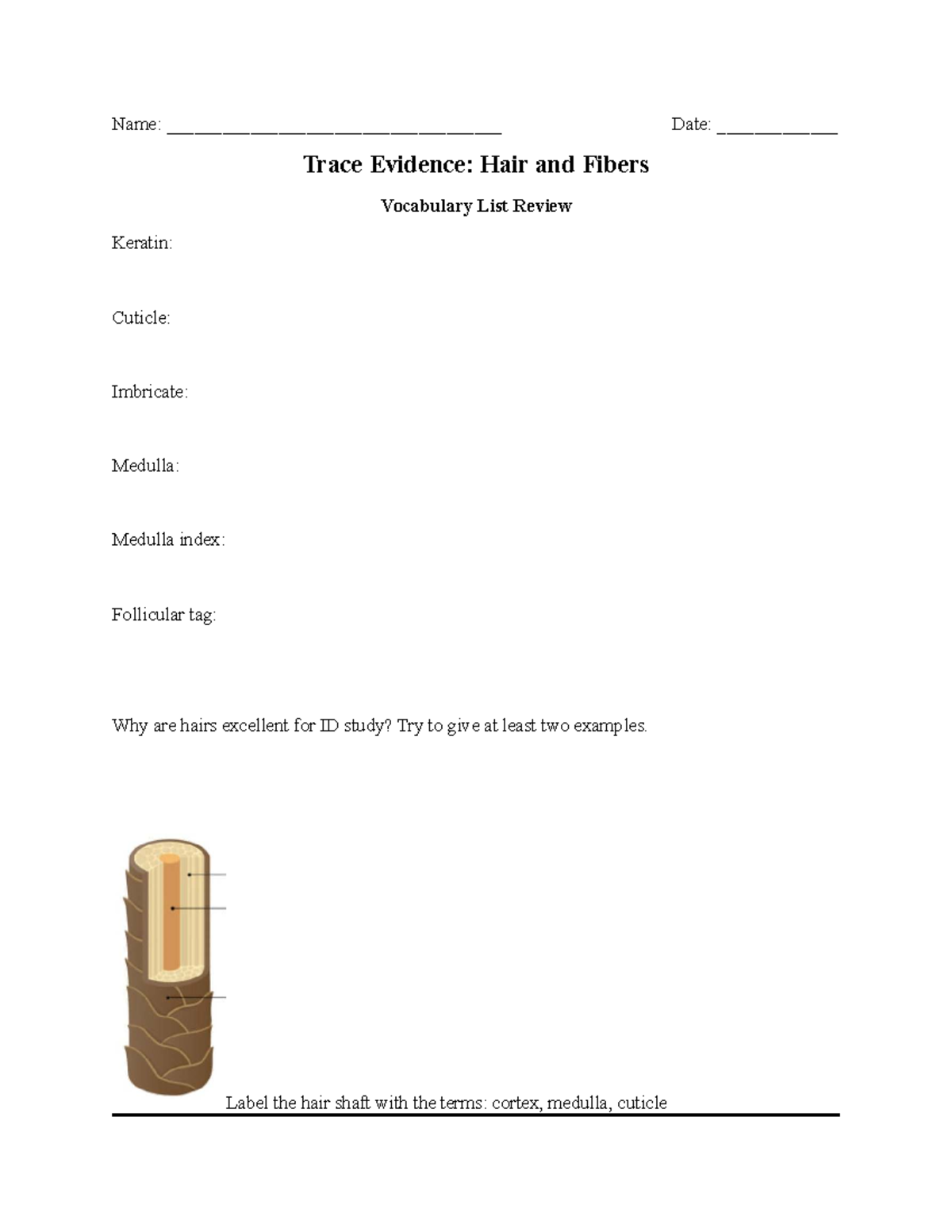 Trace Evidence: Hair and Fibers Vocabulary Review and Analysis - Name ...