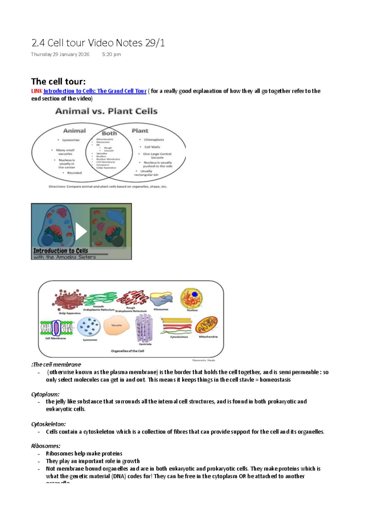 2.4 Cell Tour Video Notes: Key Concepts and Structures Explained - Studocu