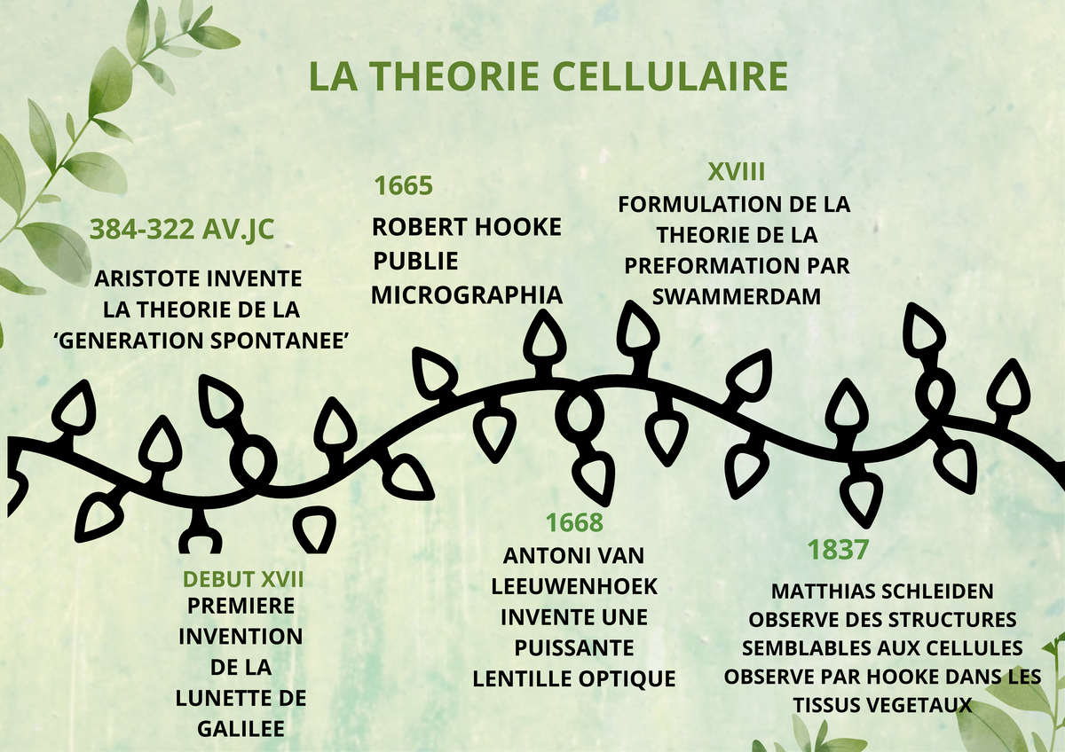 LA Théorie Cellulaire : Chronologie de l'Histoire du Microscope - Studocu