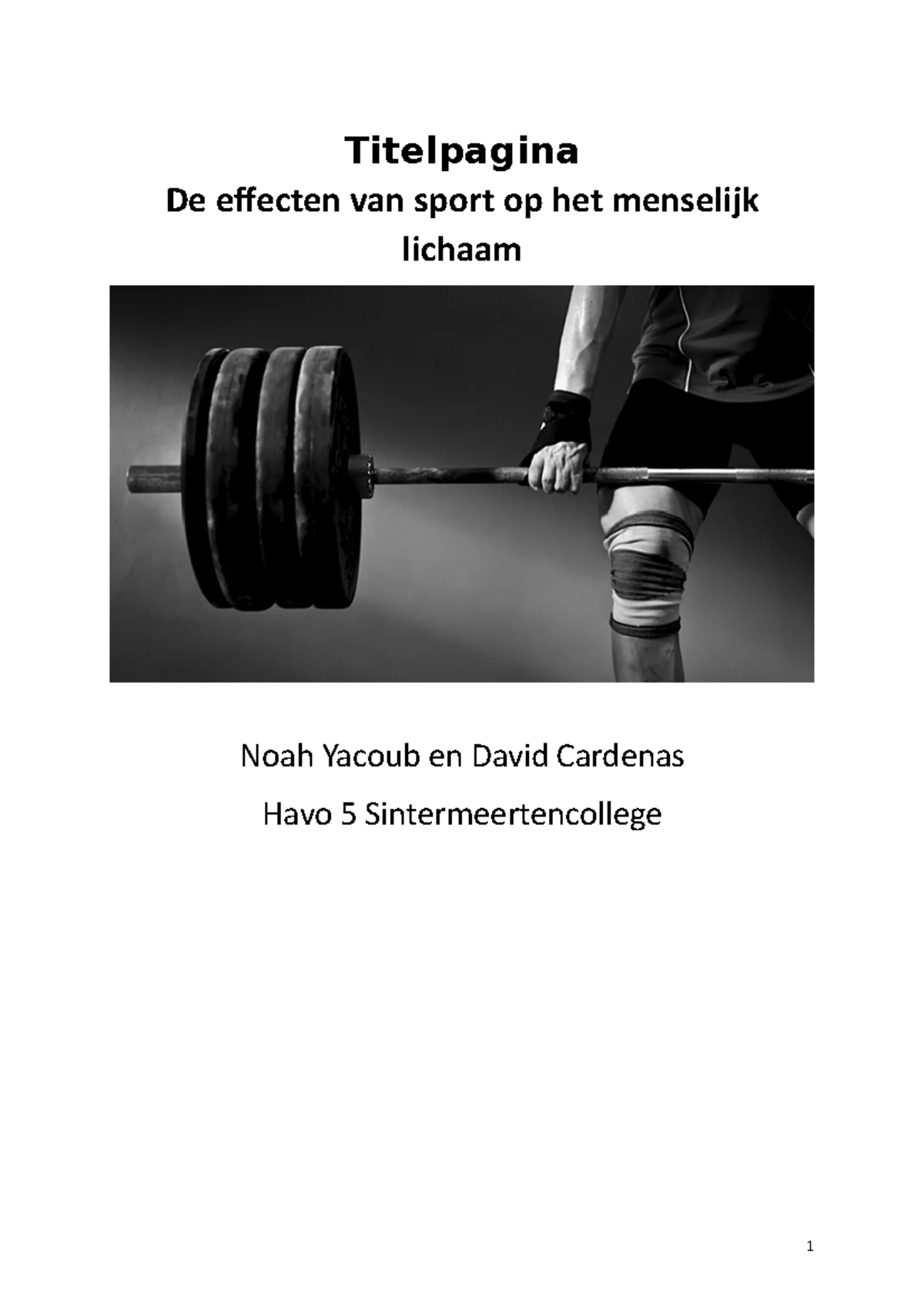 Handleiding profielwerkstuk havo versie 2024-2025 (definitief ...