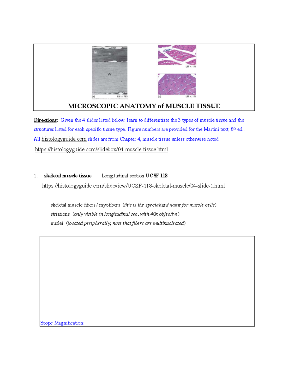 Muscle Histology Lab Guide: Differentiating Tissue Types (BIO 101 ...