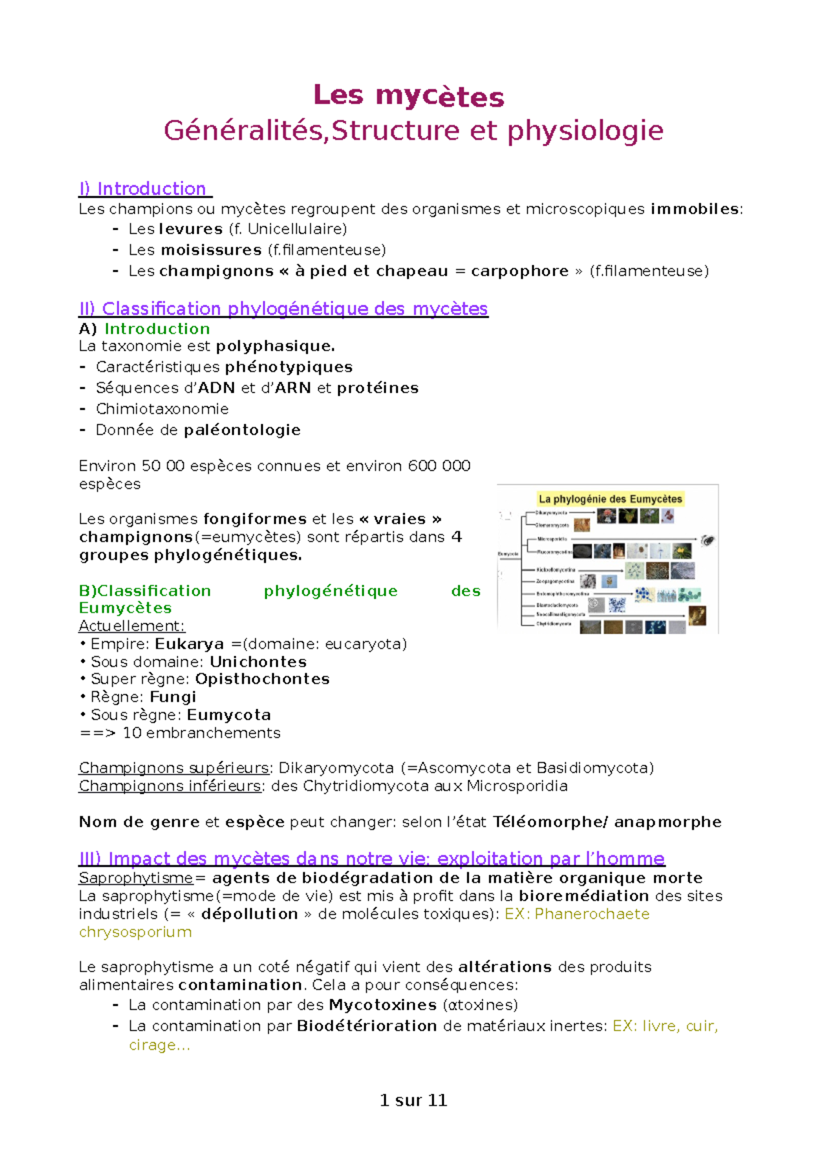 Les mycètes - Les mycètes Généralités,Structure et physiologie I ...
