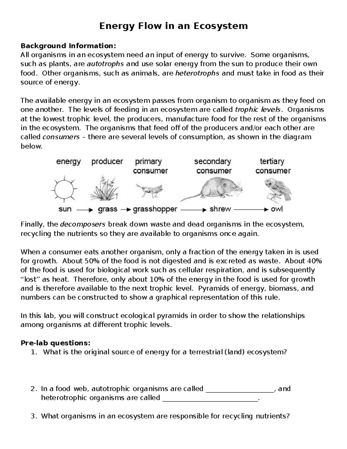 Activity - Energy Flow in an Ecosystem (Biology 101) - Studocu