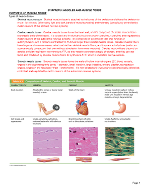 Body regions handout - Activity 1: Locating Body regions Label the ...