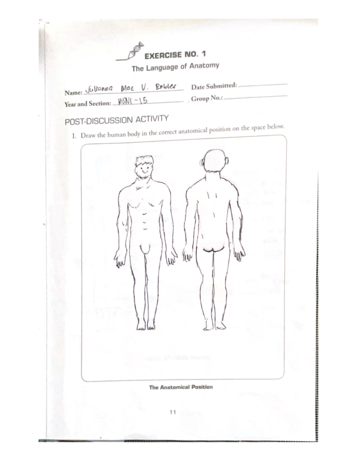 Anaphy LAB Exercise 1 - Comprehensive Lab Manual Guide - Studocu