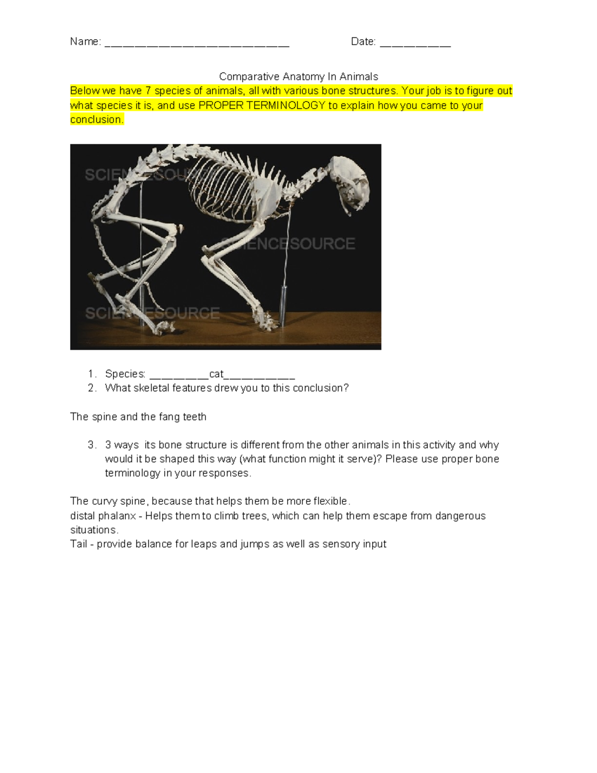Comparative Anatomy Case Study: Animal Skeletons Analysis - Studocu