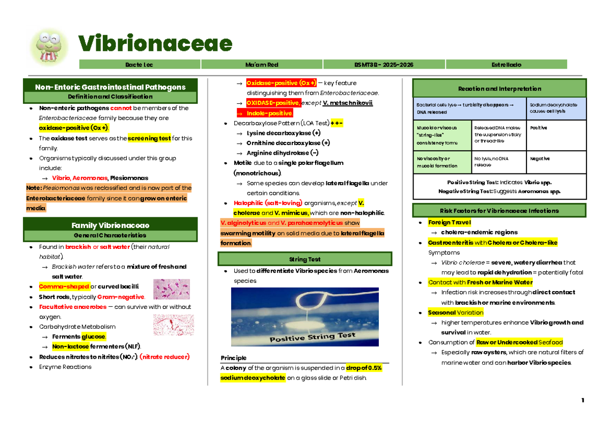 Bacte Lec F - Vibrio: Understanding Vibrio Pathogens and Risks - Studocu