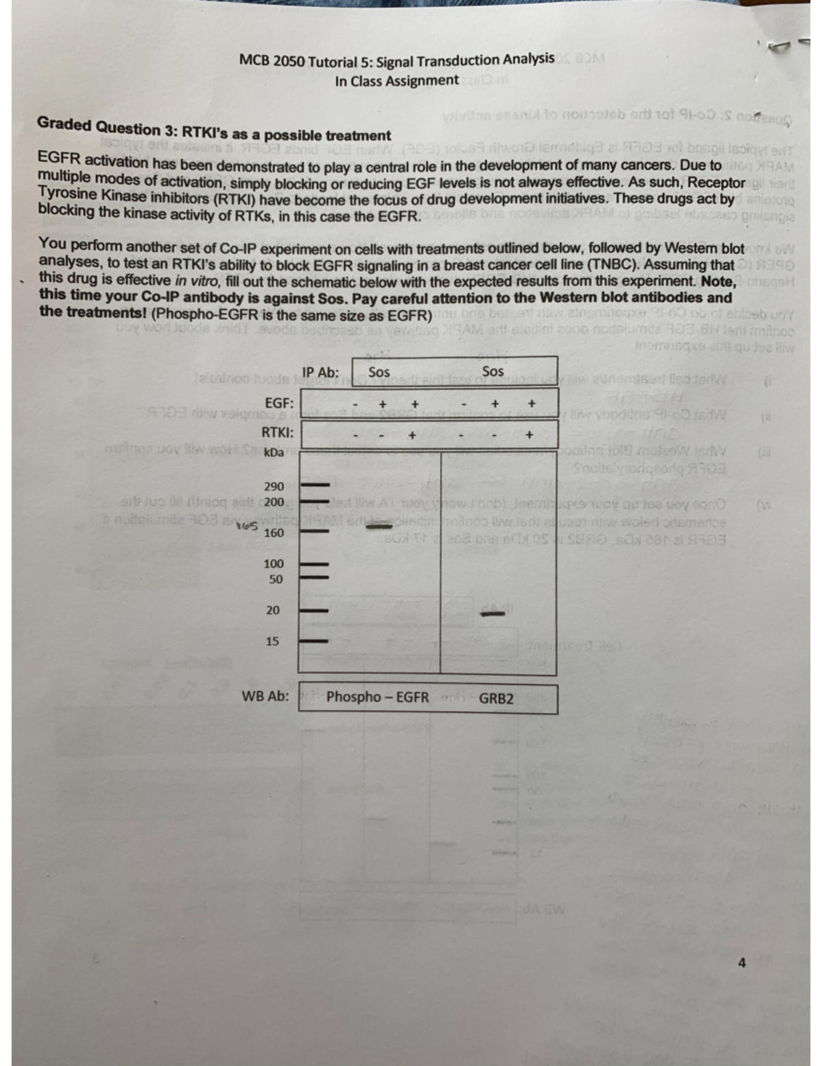 Seminar 5 Assignment - 2021 - MCB 2050 - Studocu