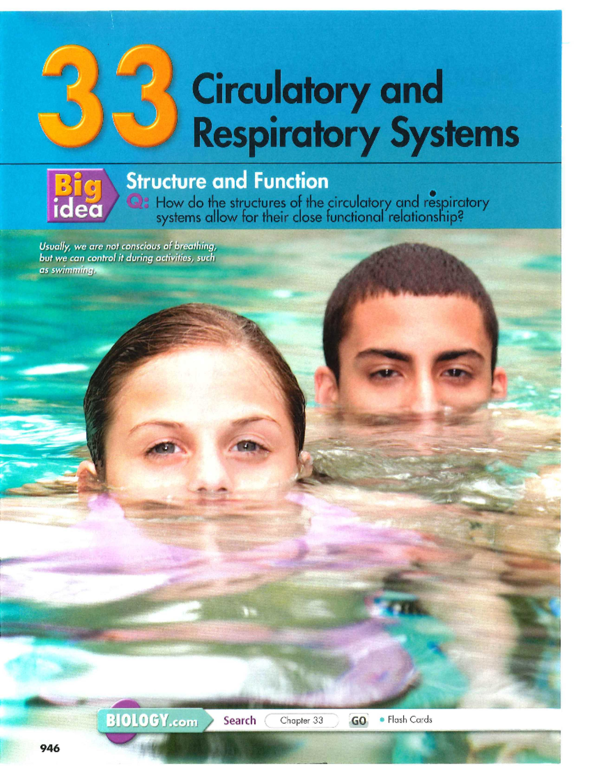 Biology, Miller Levine, Ch33, pg 946-975 v2 - Circulatory and R ...