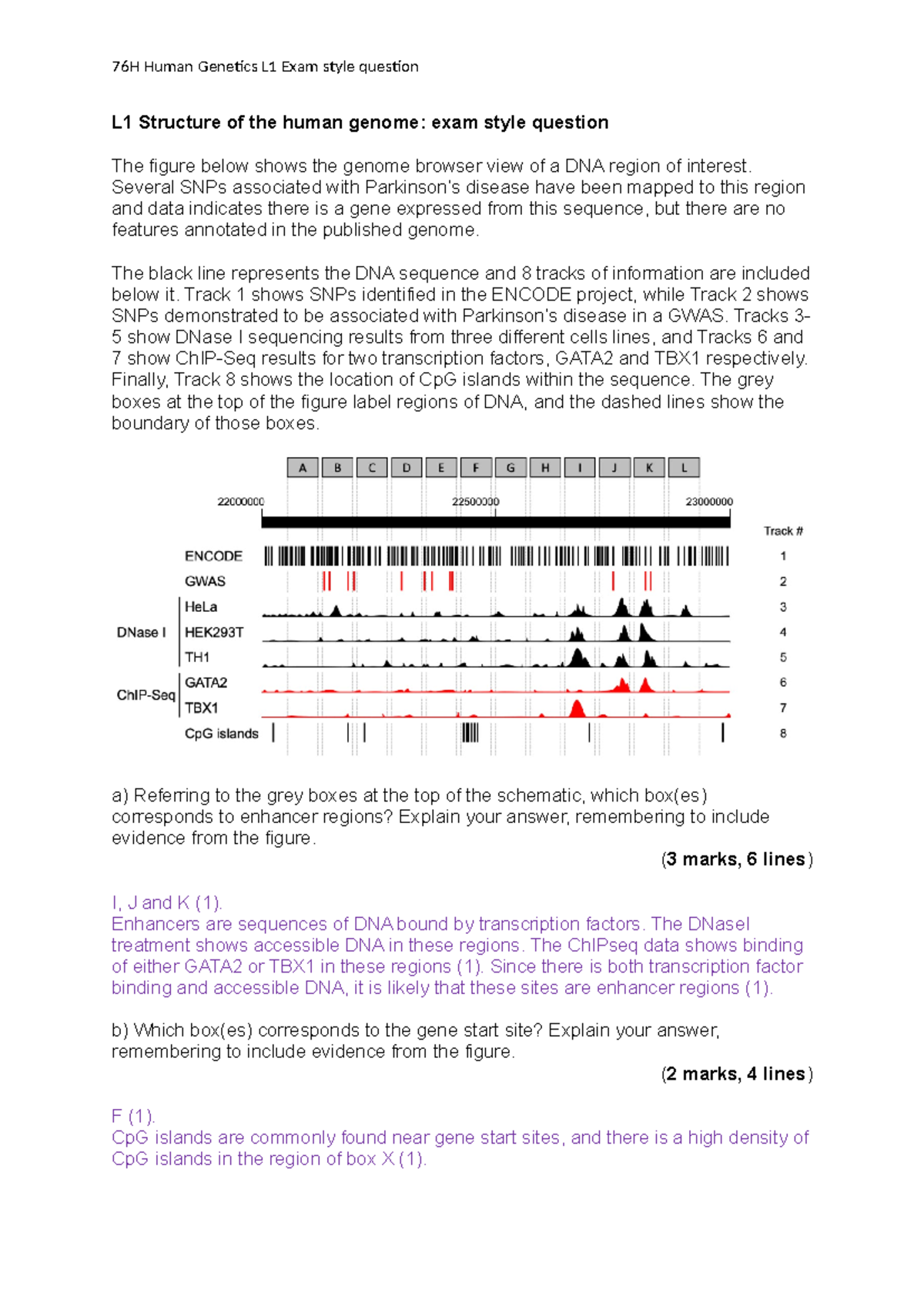76H Human Genetics L1 Exam Style Questions on Genome Structure - Studocu