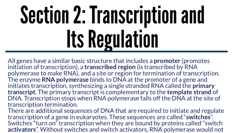 Unit 3: Section 2 - Transcription Mechanisms and Regulation - Studocu
