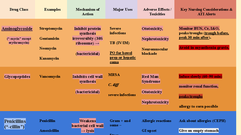 Antibiotics Overview: Mechanisms, Uses, and Nursing Considerations ...