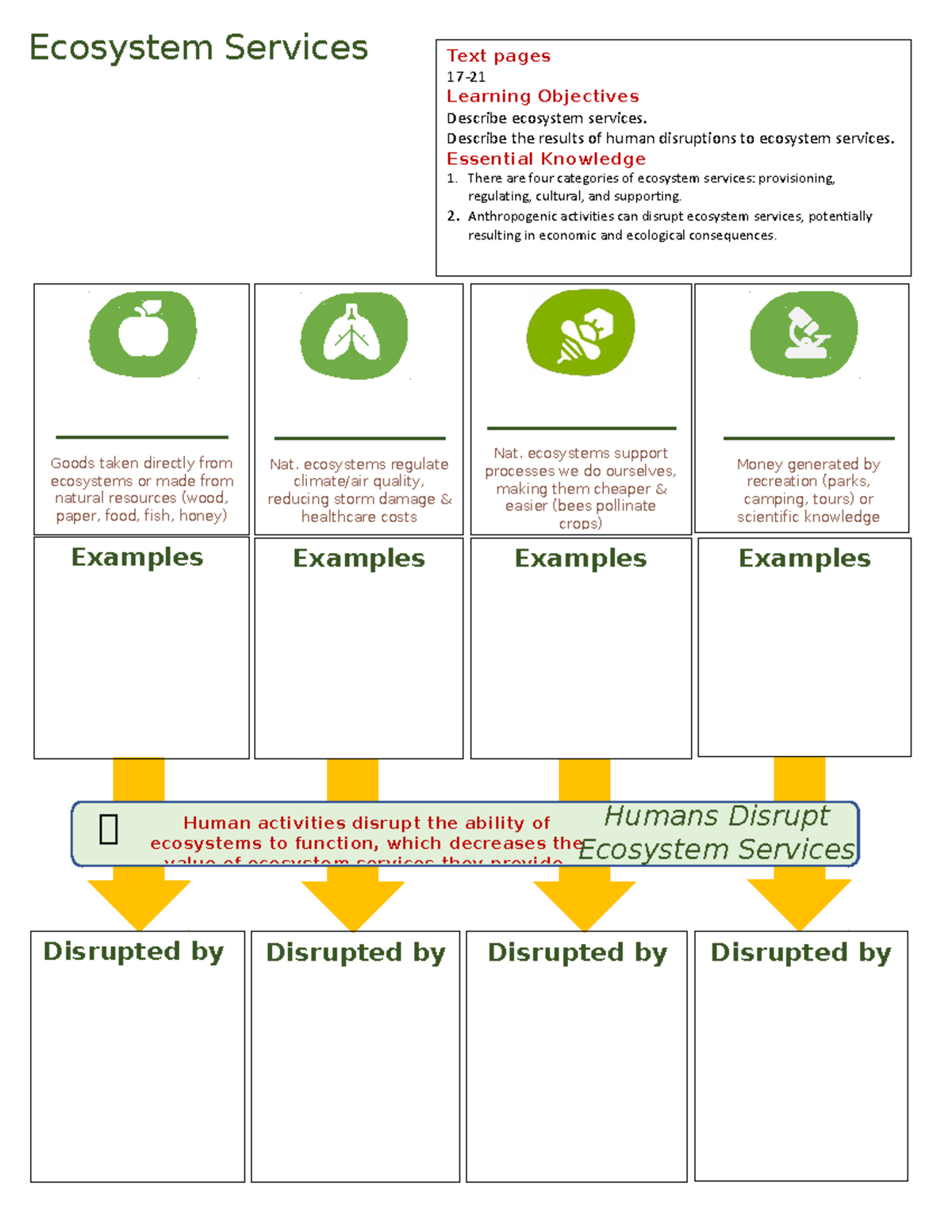 Ecosystem Services - Describe the results of human disruptions to ...