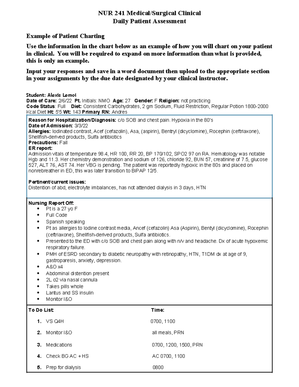 NUR 241 - Daily Patient Assessment: Example Charting Practice ...