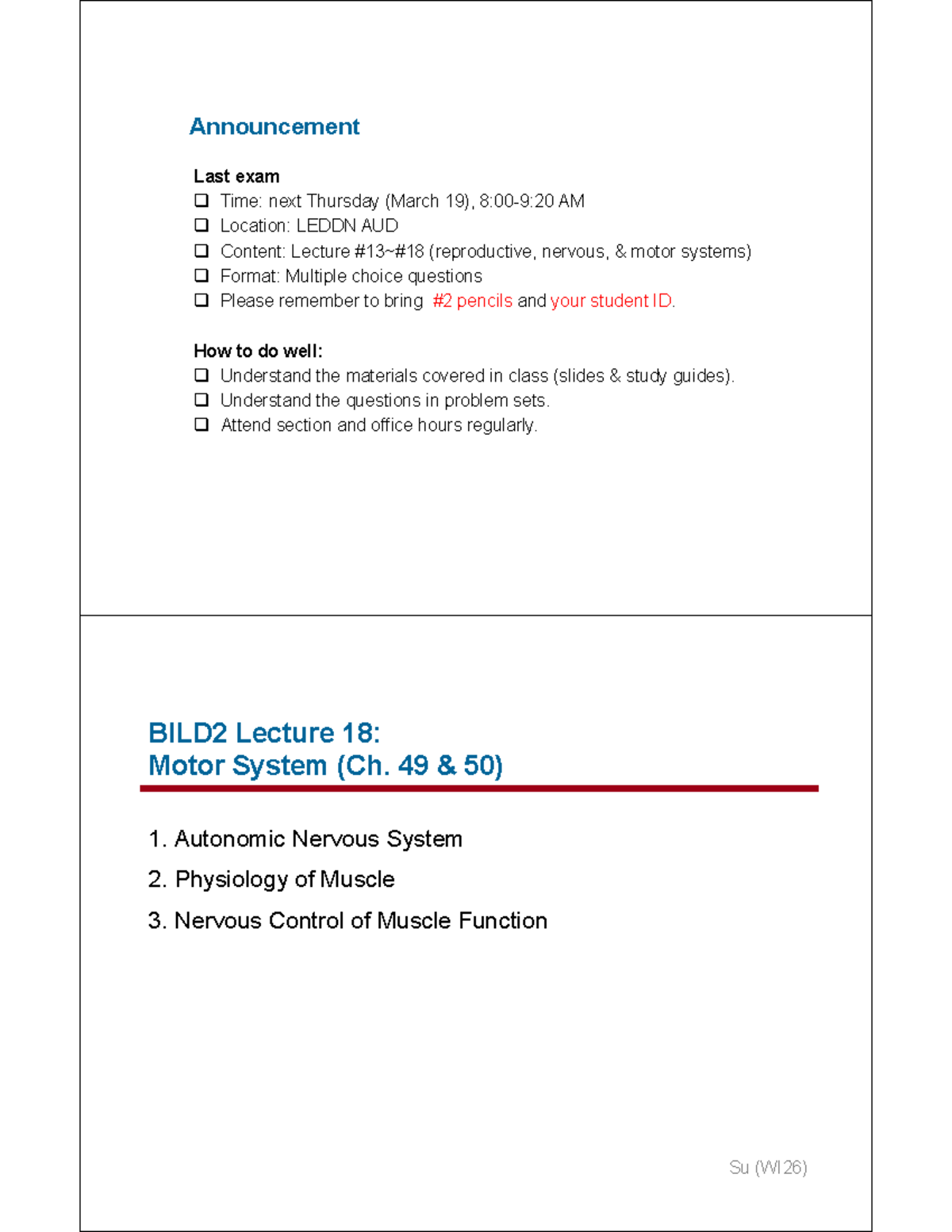 BILD2 Final Exam Review: Motor & Nervous Systems - Studocu