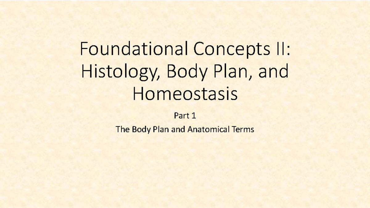 Foundational Concepts II: Histology, Body Plan & Tissues Overview - Studocu