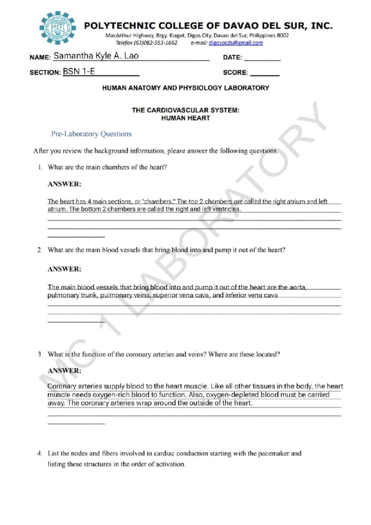 BSN 101: Human Anatomy & Physiology Lab - The Cardiovascular System ...