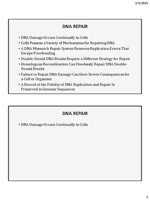 Essential Cell Biology, Chapter 5: DNA Structure & Chromosomes - Chapter 5 DNA and Chromosomes ...