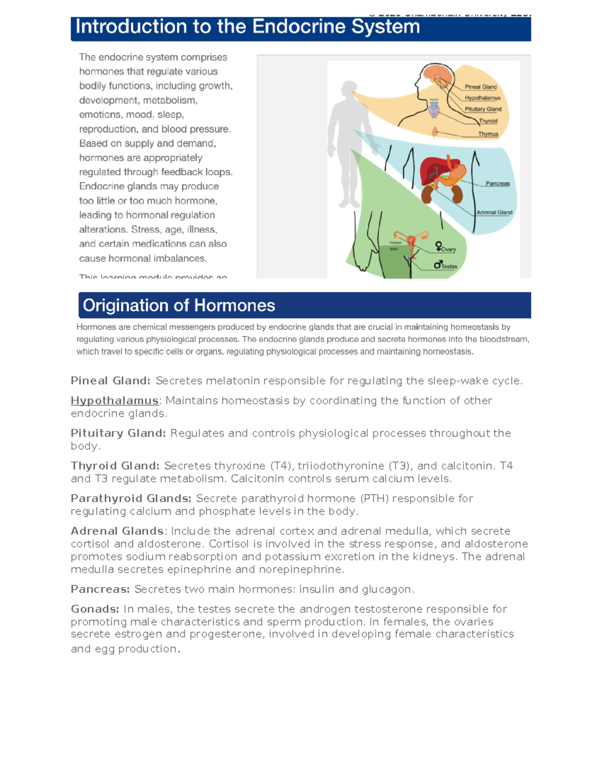 Module 6 Endocrine - pathophysiology - Pineal Gland: Secretes melatonin ...