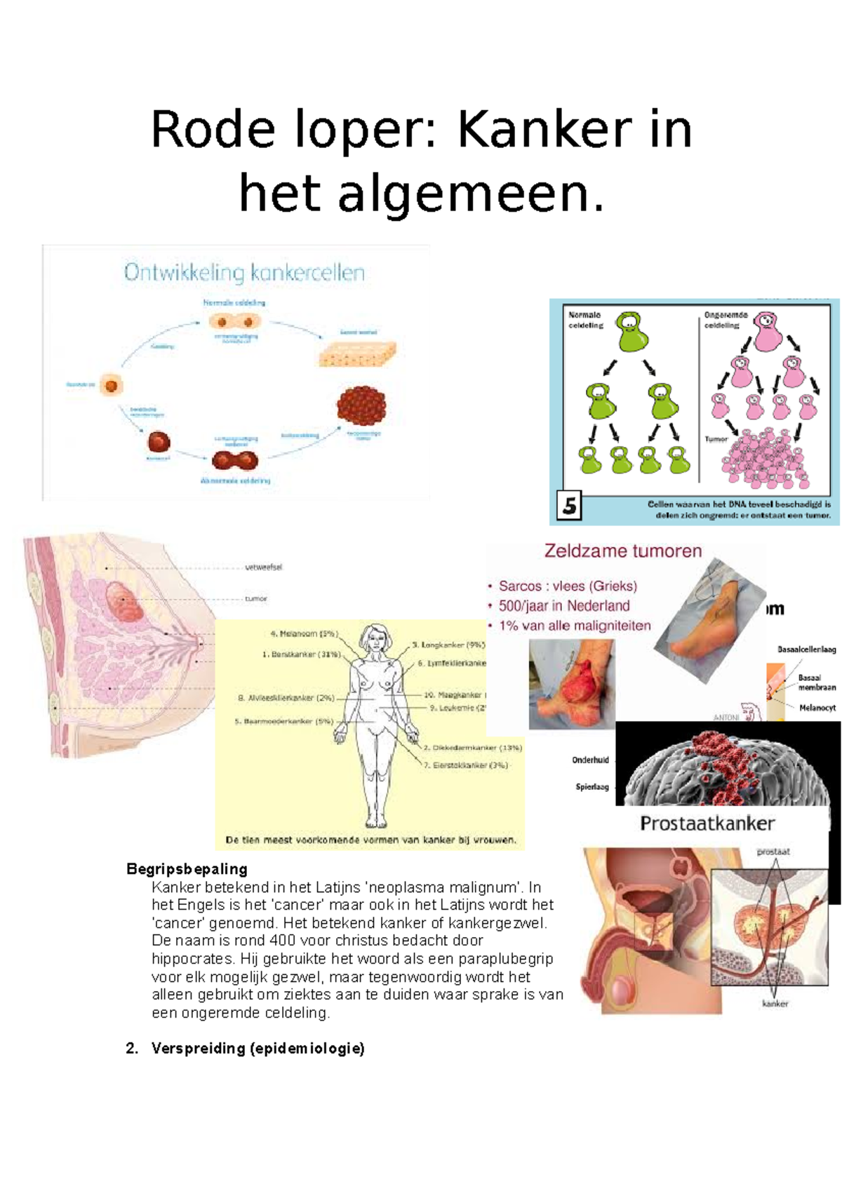 Rode Loper: Algemene Informatie over Kanker en Behandelingen - Studeersnel