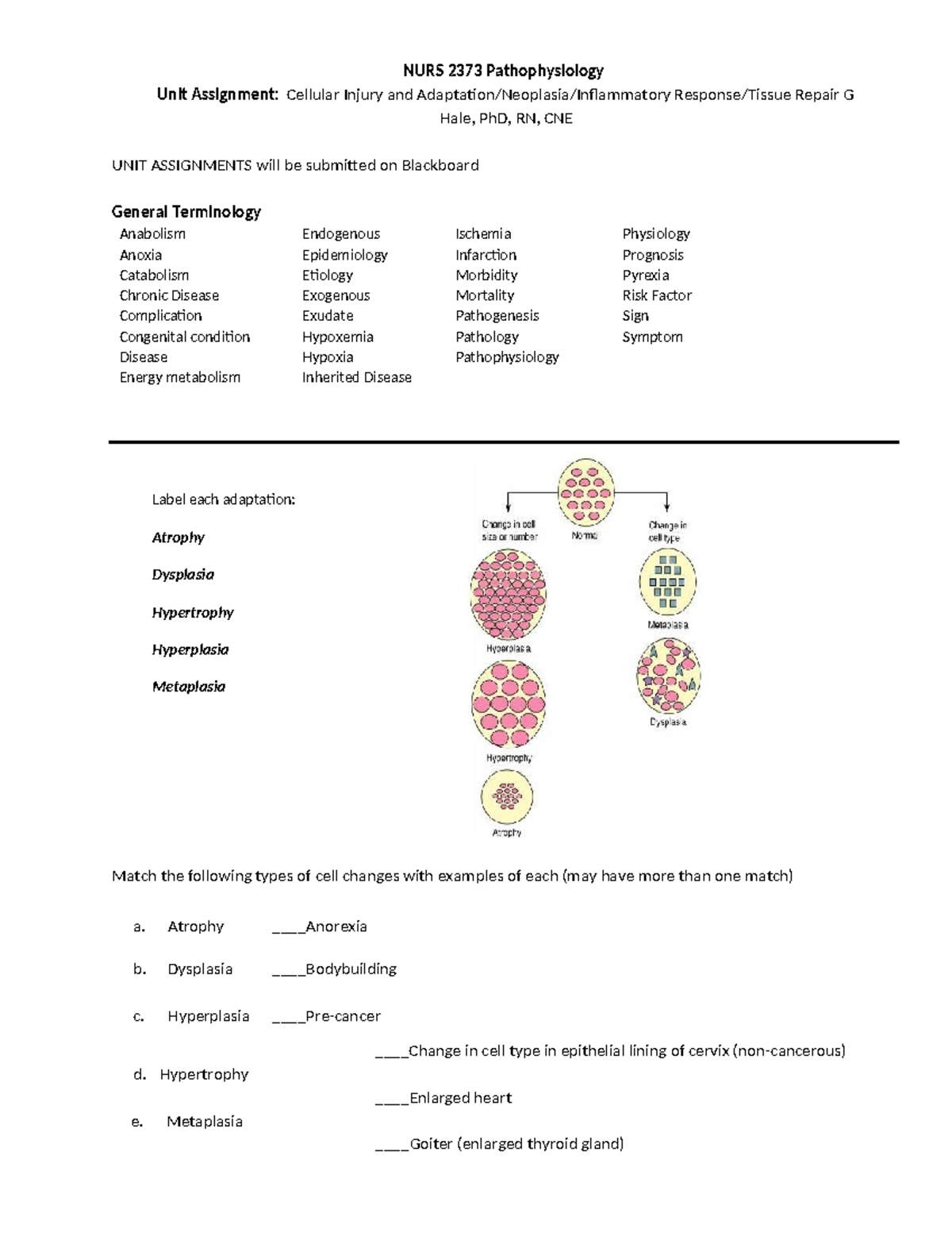 NURS 2373 Pathophysiology Unit Assignment: Cellular Adaptation & Injury - Studocu
