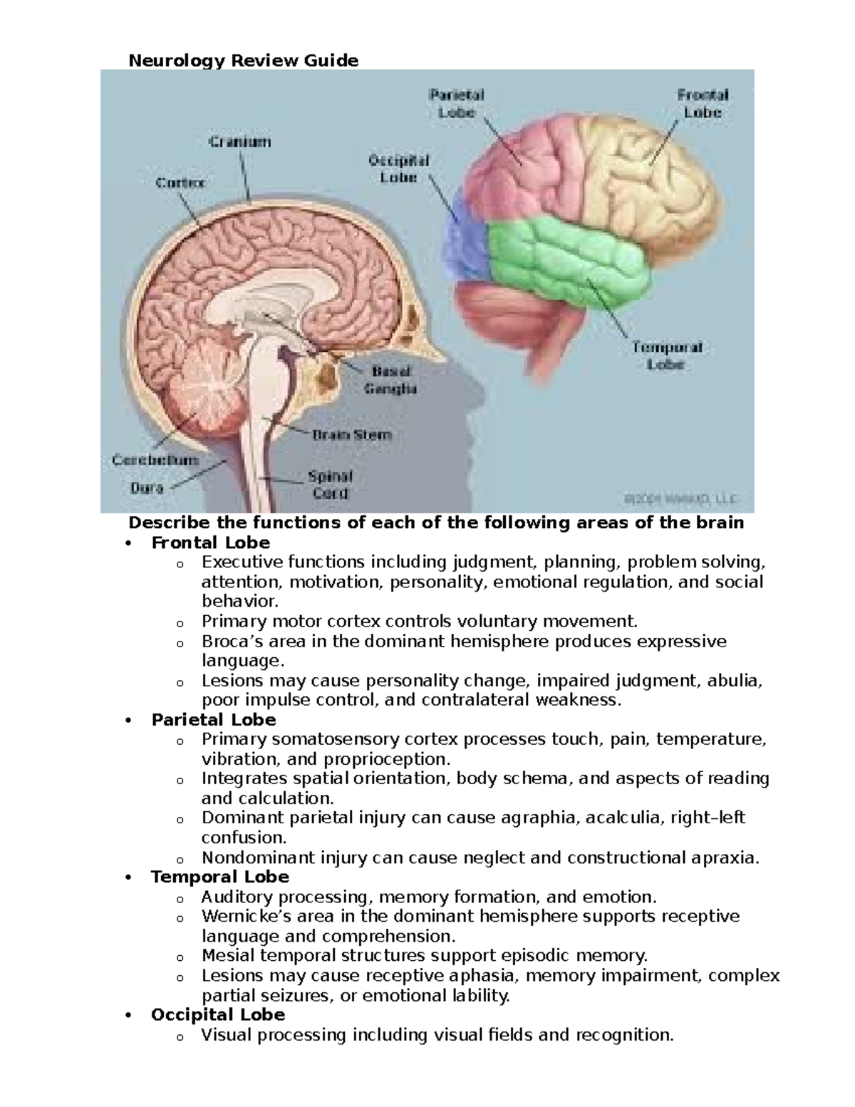 Neuro Study Guide - Brain Functions and Pathophysiology - Studocu