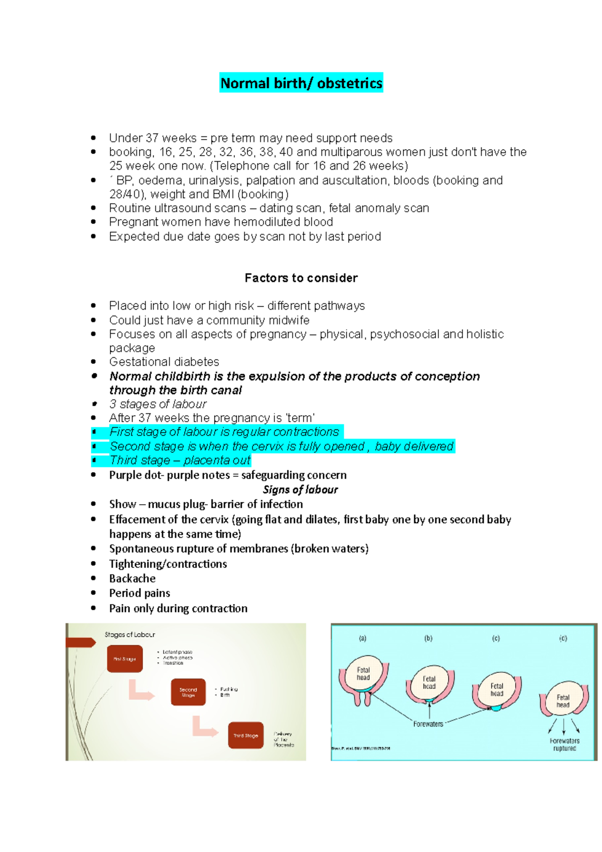 Year 2 Paramedic Science: Normal Birth Overview Notes - Studocu