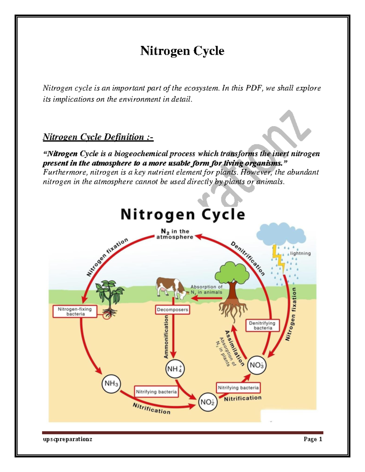 Nitrogen Cycle - Importance and Processes Explained (ENV 101) - Studocu