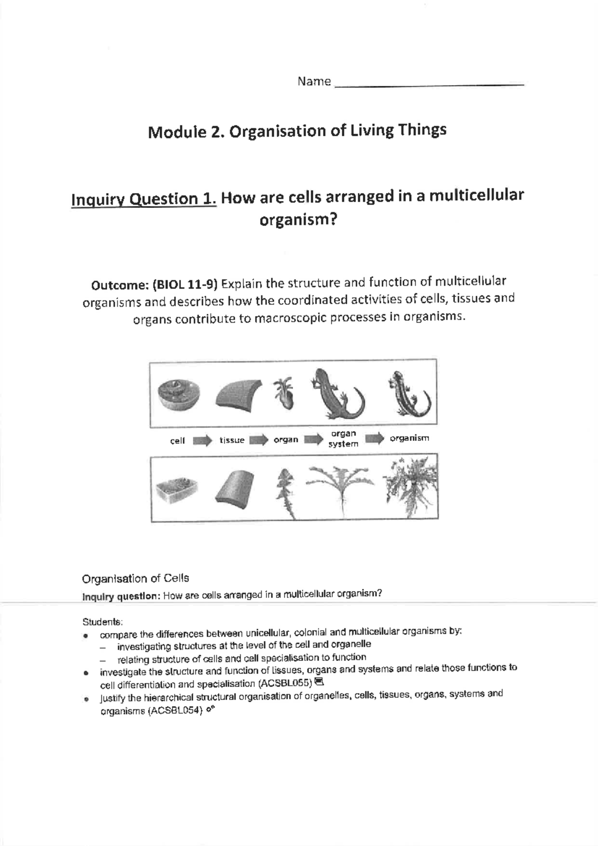 Module 2: Organisation of Living Things - Inquiry on Cell Arrangement ...