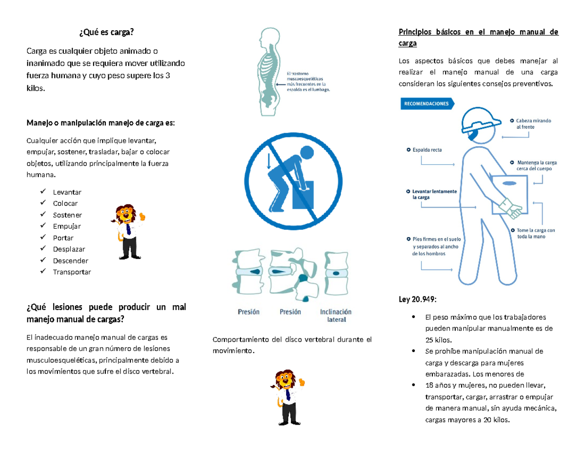 Manejo Manual de carga - Practica - ¿Qué es carga? Carga es cualquier ...