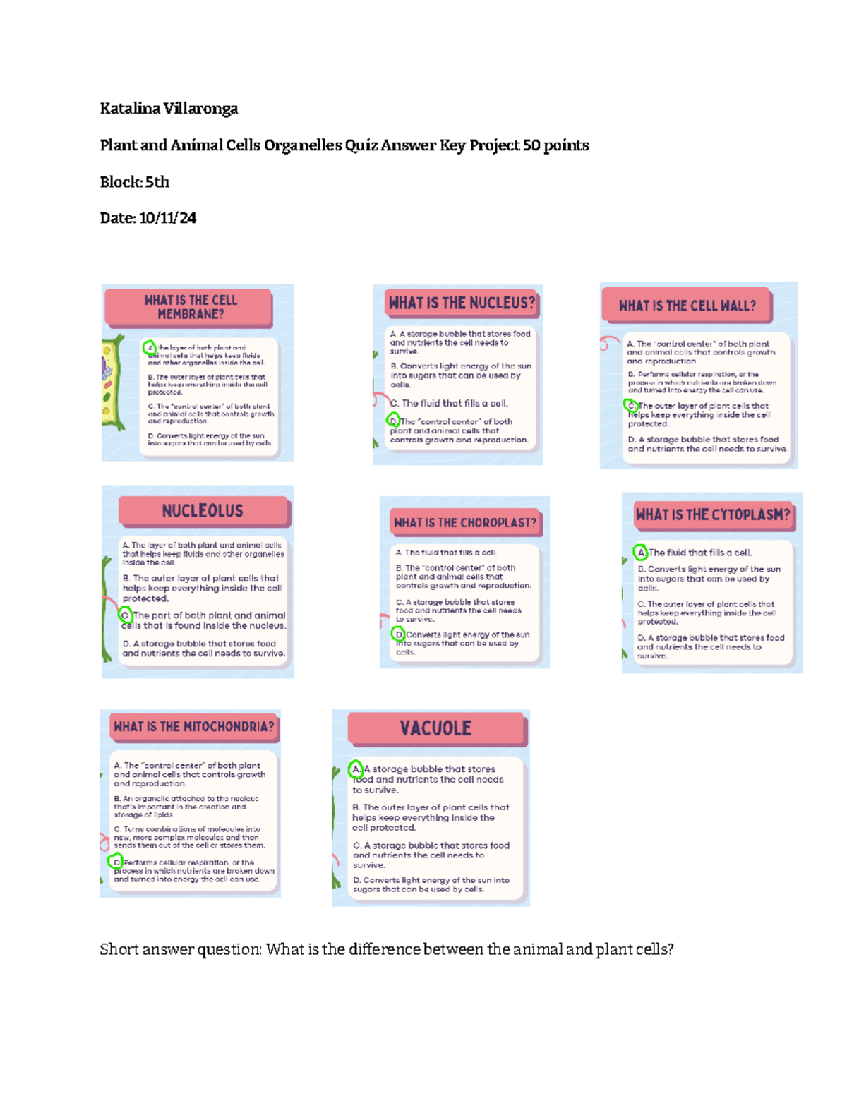 Plant and Animal Cells Organelles - Katalina Villaronga Plant and ...