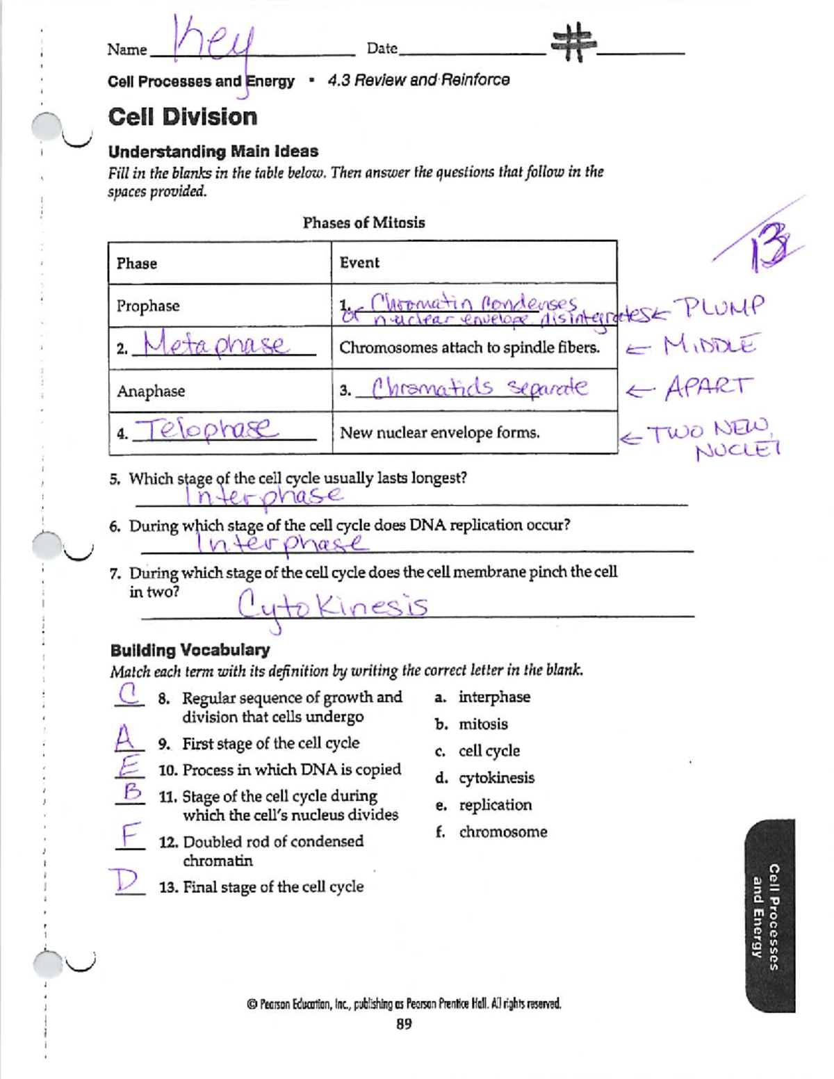 4.3 R.R. Cell Division Study Guide and Key Insights - Studocu