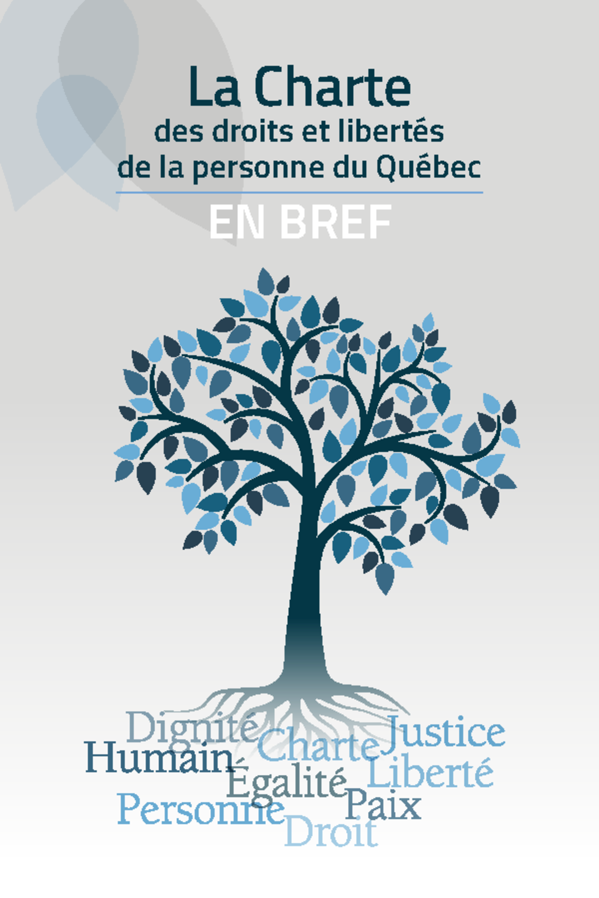 Charte des droits et libertés de la personne du Québec - Résumé - Studocu