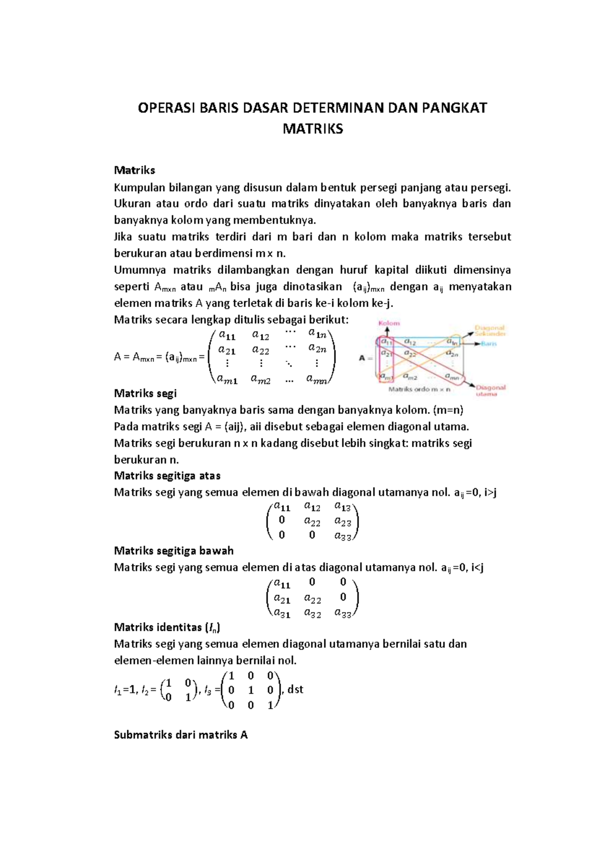 Operasi Baris Dasar, Determinan, dan Pangkat Matriks Matematika 101 ...