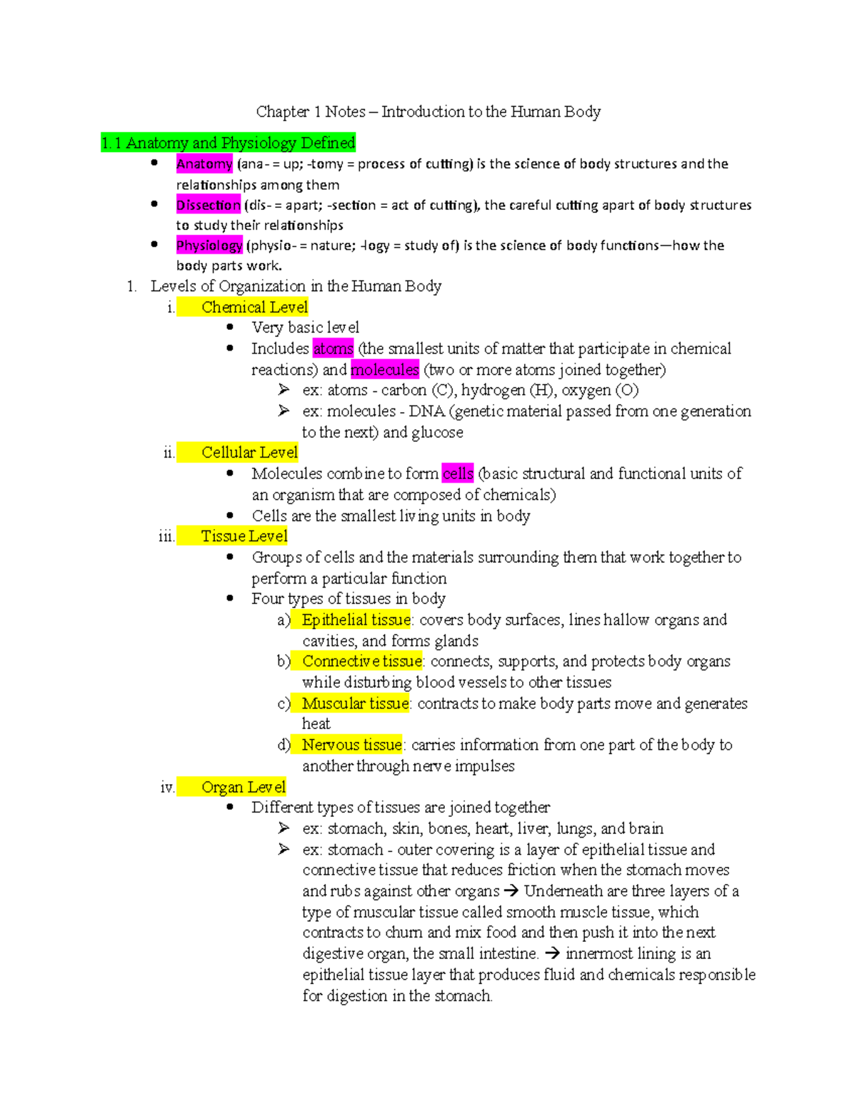 Chapter 1 Notes - Chapter 1 Notes Introduction to the Human Body 1 ...