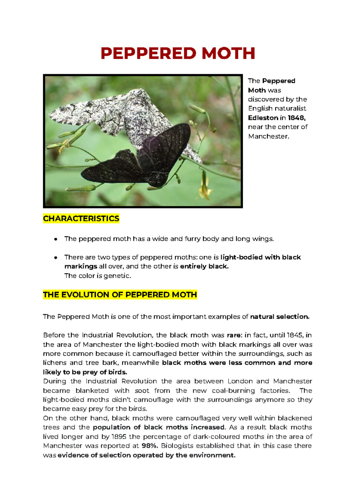 PEPPERED MOTH: Natural Selection & Evolution - Ricerca DI Scienze - Studocu