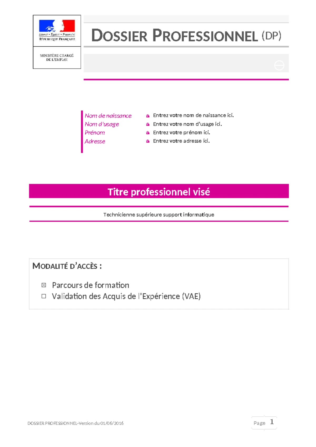 Dossier Professionnel (DP) : Guide de Rédaction et Exemples Pratiques - Studocu