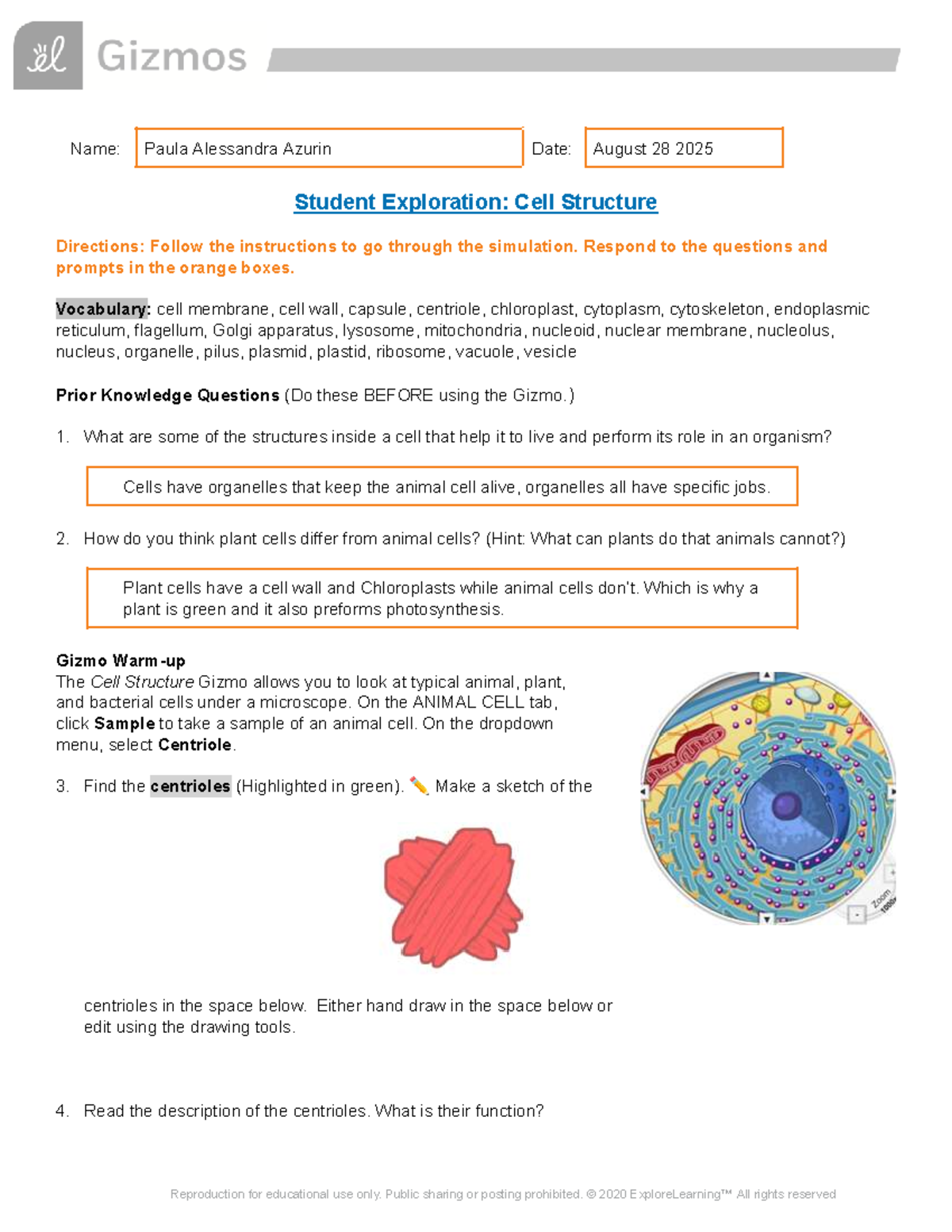 Exploration of Cell Structure: Gizmo Simulation Guide (Bio 101) - Studocu