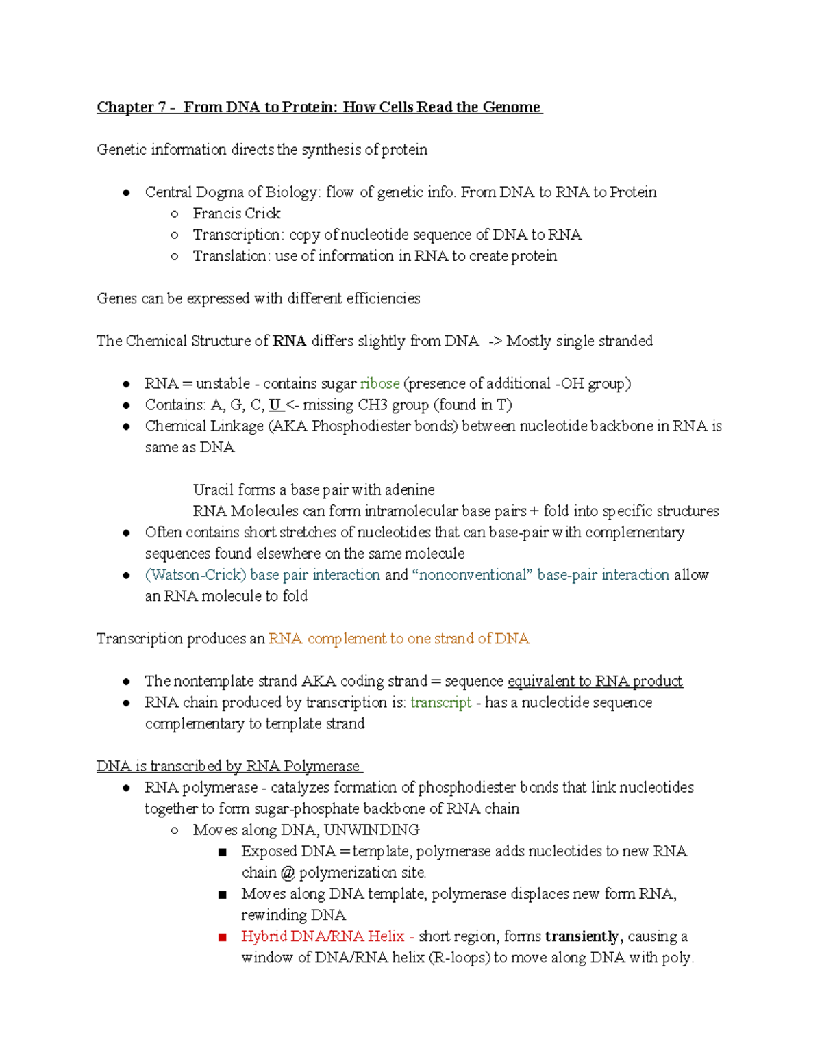 BIO 2 Exam: From DNA to Protein - Understanding Gene Expression - Studocu