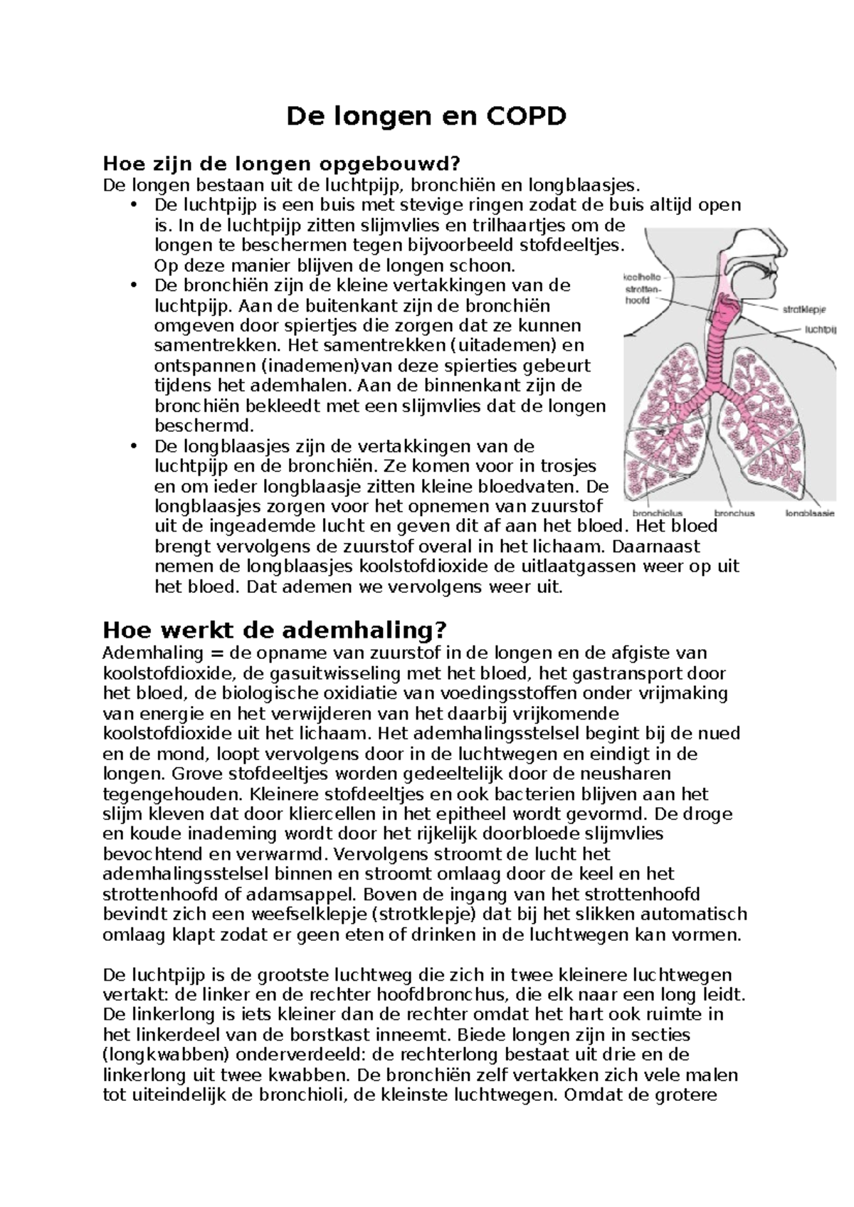 De longen en COPD – Extra Biologie Inzichten en Functioneren - Studeersnel