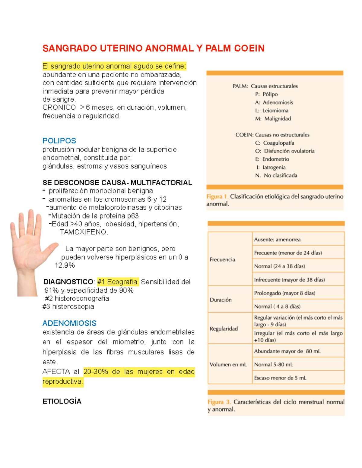 Sangrado Uterino Anormal y PALM-COEIN: Diagnóstico y Tratamiento - Studocu